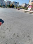 Şok (Ankara, Sincan, Törekent Mah., 331. Sok., 7E), süpermarket  Ankara'dan