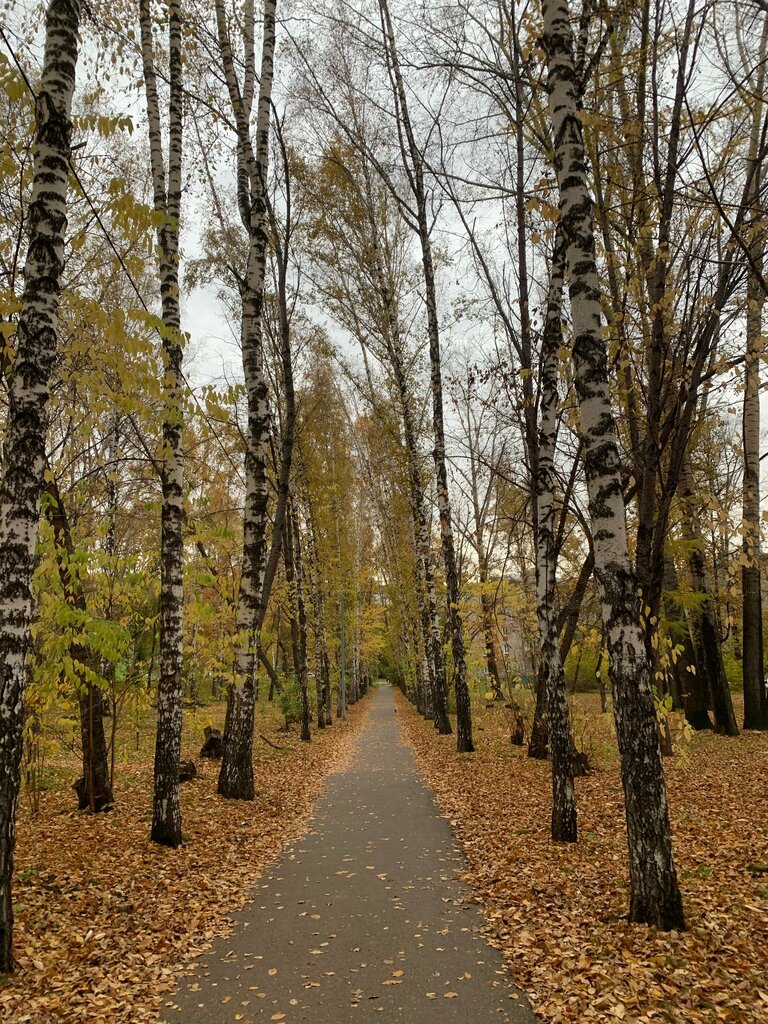 Kültür ve eğlence parkları сквер Первостроителей, Novokuznetsk, foto