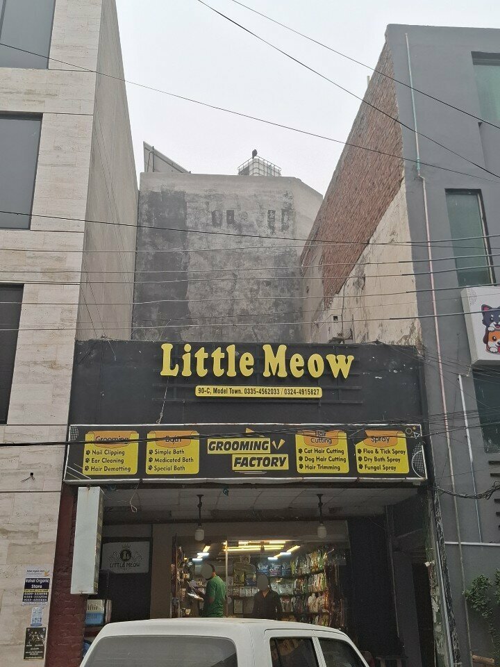 Catering firmaları Little meow cattery, Lahor, foto