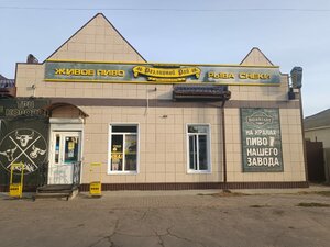 Razlivnoj raj (ulitsa Lenina No:127), bira dükkanı  Pavlovsk'tan