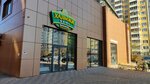 Beer shop (proyezd Repina No:5А), bira dükkanı  Krasnodar'dan