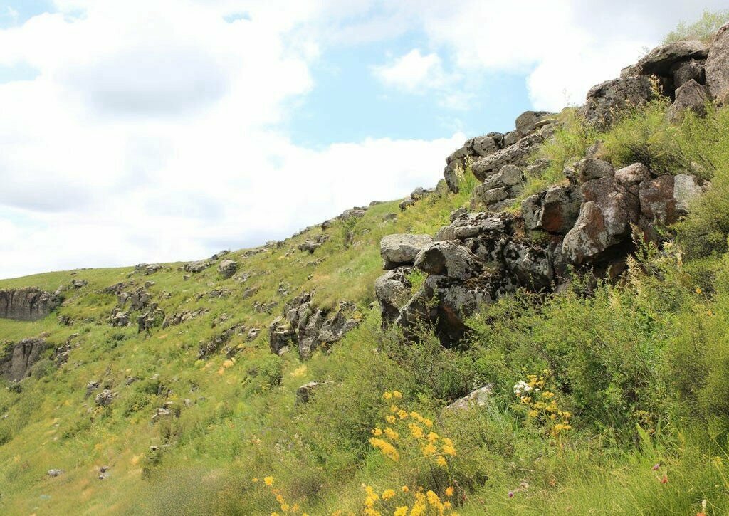 Muhtarlıklar Taşdere Köy Muhtarlığı, Arpaçay, foto