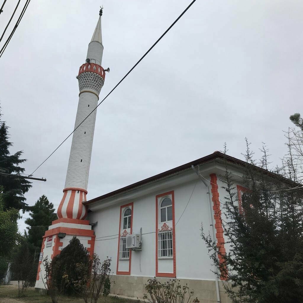 Cami Sütlüce Köyü Cami, Turhal, foto