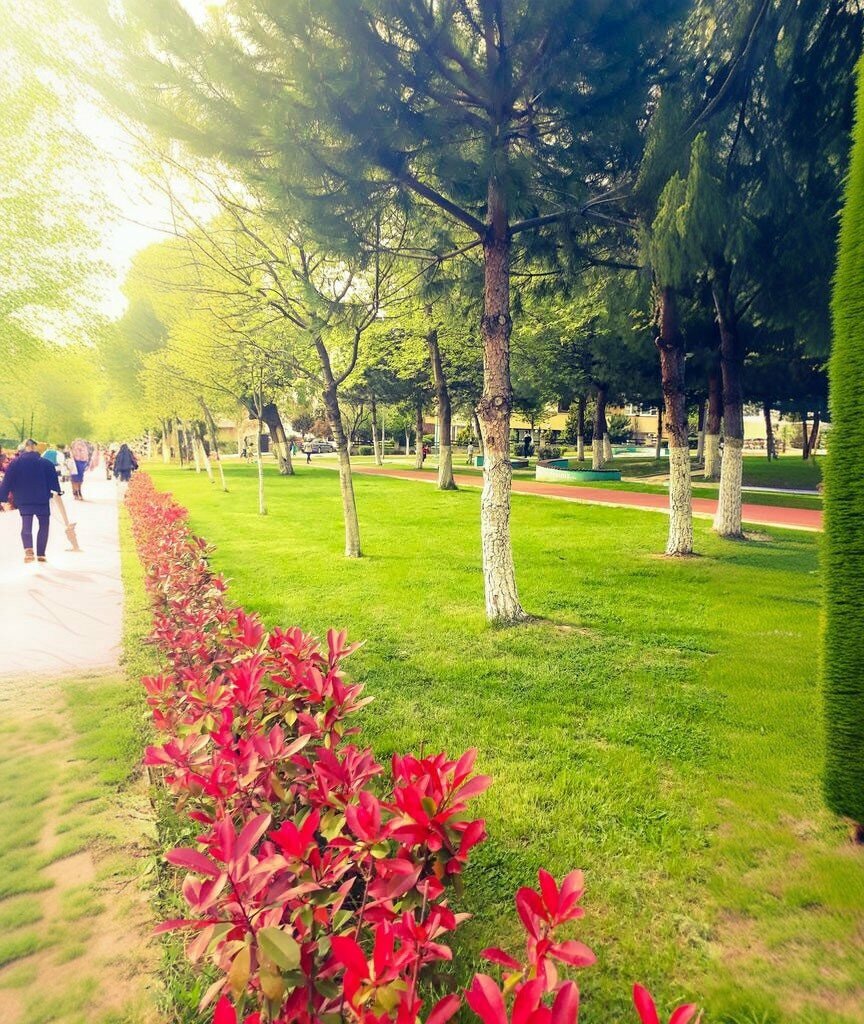 Kafe Dalyan Aile Çay Bahçesi, Bursa, foto