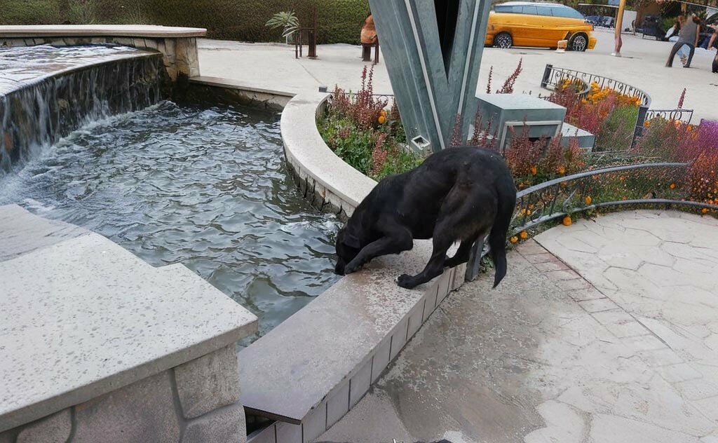 Kültür ve eğlence parkları Abdulhakim Arvasi Parkı, Ankara, foto