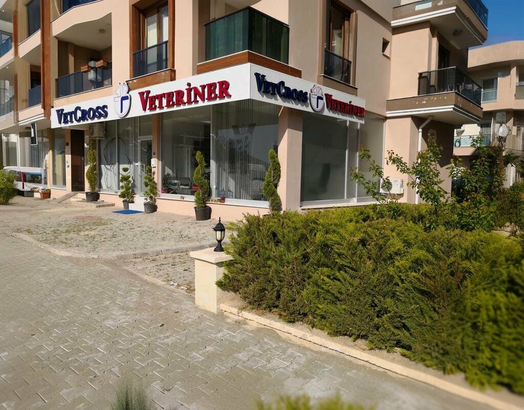 Veteriner klinikleri Vetcross Veteriner, Güzelbahçe, foto