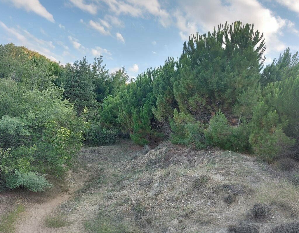 Muhtarlıklar Karasapaça Köyü Muhtarlığı, Tosya, foto