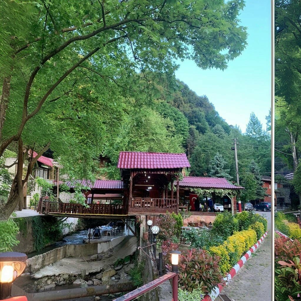 Restoran Dinç Alabalık Tesisleri, Akyazı, foto
