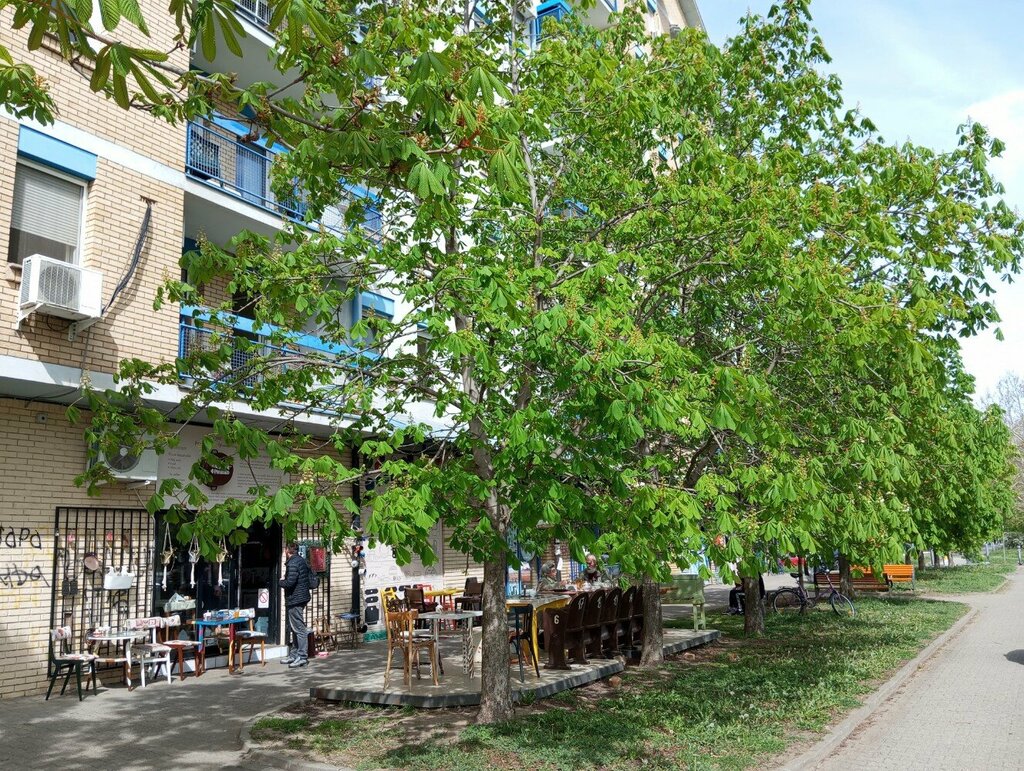 Restoran Nasuvo i friško, Novi Sad, foto