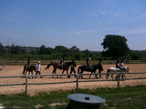 At ve binicilik kulüpleri Alkuzu Binicilik Okulu, İstanbul, foto