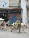 Farooq auto parts (Province of Punjab, Lahore, Qainchi Amer Sidhu Road), beyaz eşya servisleri  Lahor'dan