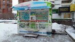 Мороженое (Irkutsk Region, Bratsk, zhiloy rayon Tsentralny, 17th Microdistrict), dondurmacılar  Bratsk'tan
