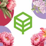 Urban Green (Sverdlovsk Region, Sysertskiy gorodskoy okrug, 65K-2501000), fidan yetiştiriciliği  Sverdlovskaya oblastından