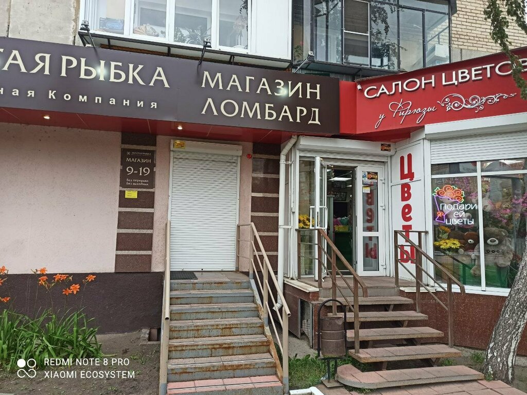 Rehincilik Lombard Zolotaya rybka, Troitsk, foto