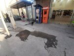 Telcell (Silikyan 4th Street No:21A), ödeme terminali  Erivan'dan
