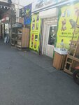 Zoo ailemi (City of republican subordination Baku, Yasamal, Abbas Mirzе Sеrifzadе Street, 77B), petshop  Bakü'den