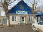 Elena (Kıev kóshesi No:23), mini-market  Kostanay'dan