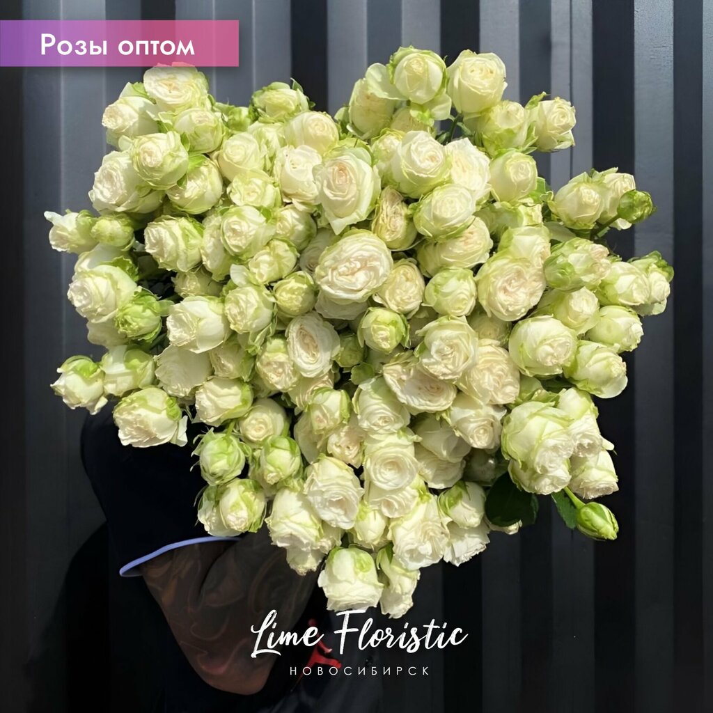 Toptancılar Lime Floristic, Novosibirsk, foto