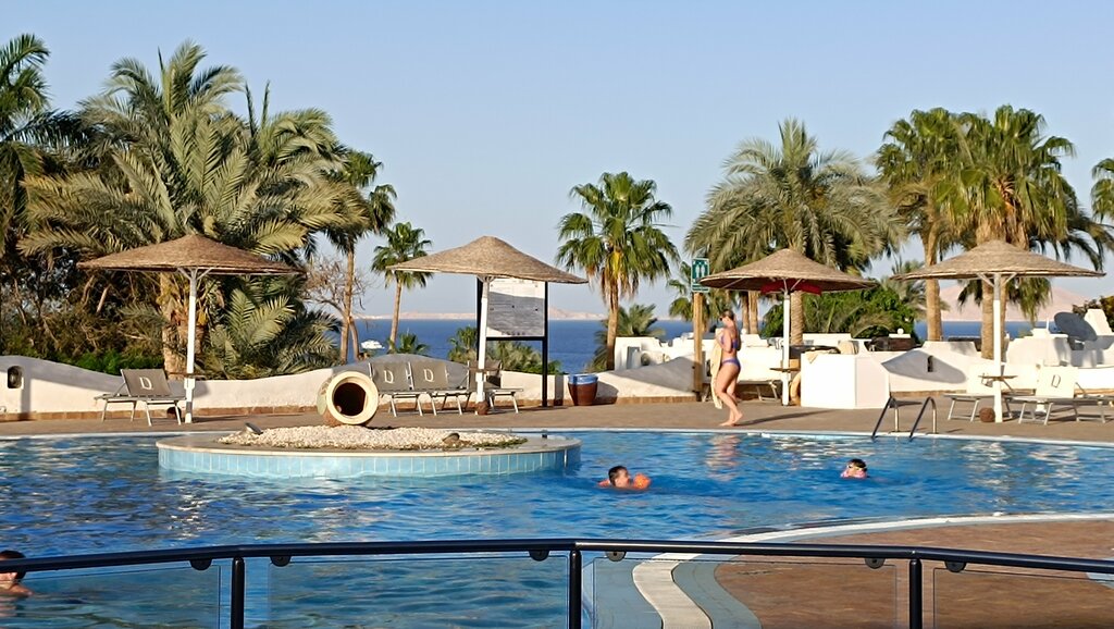 Bar Harem Pool Bar, Şarm El‑Şeyh, foto
