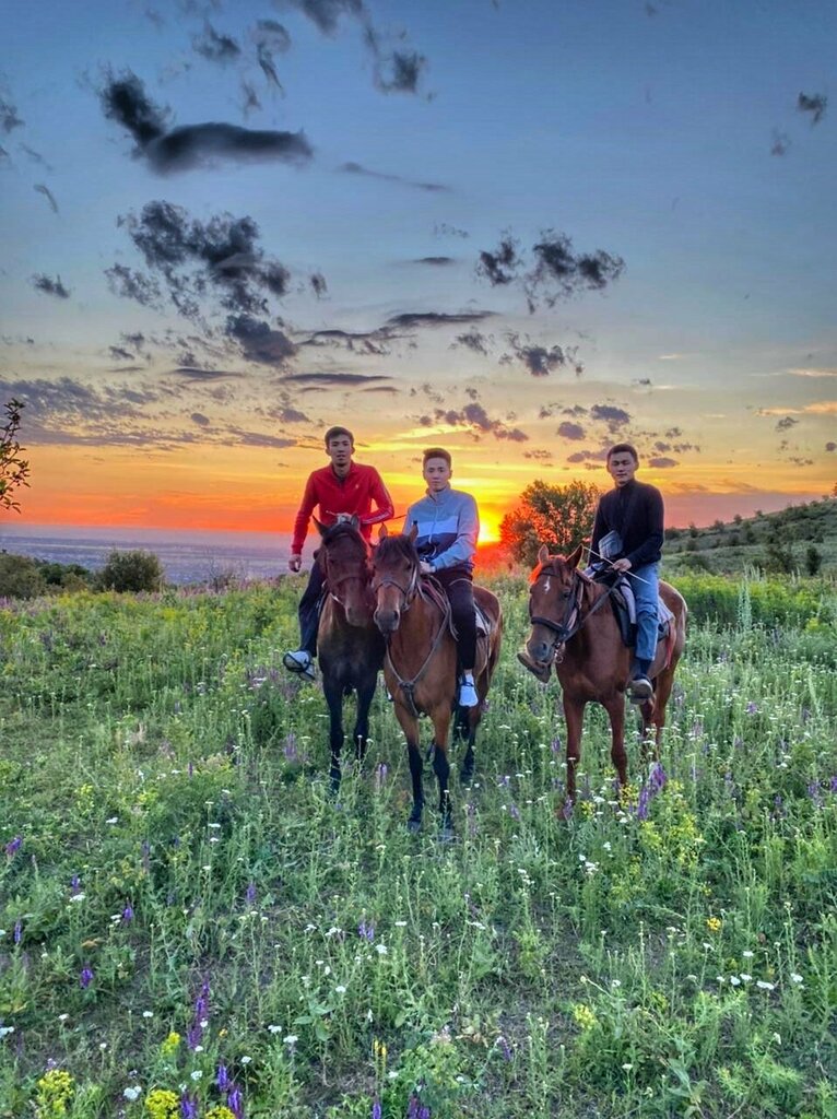 At ve binicilik kulüpleri Altyn Taga, Almatı eyaleti, foto