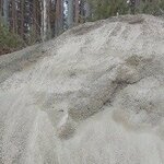 Brusyansky quarry (Krasnoarmeyskaya Street No:10), endüstriyel mineraller  Yekaterinburg'dan
