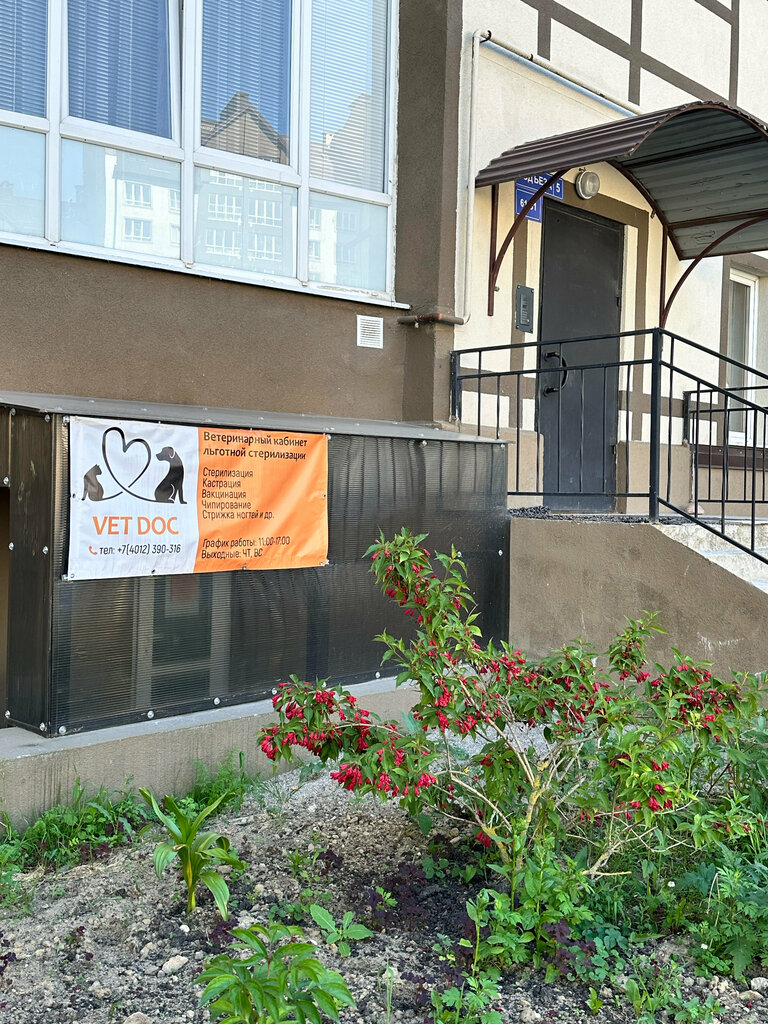 Veteriner klinikleri Vet Doc, Kaliningradskaya oblastı, foto