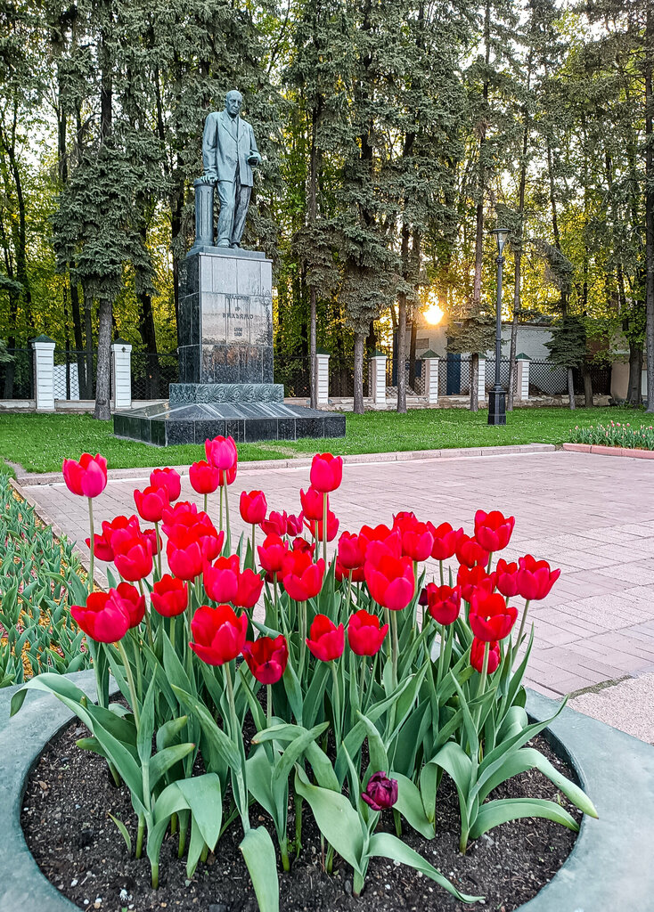 Anıt, heykel В.Р. Вильямс, Moskova, foto