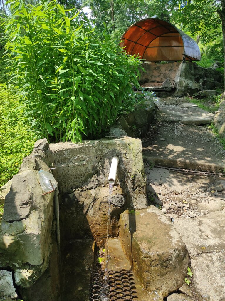Pınar, çay Spring, stream, Primoriye, foto