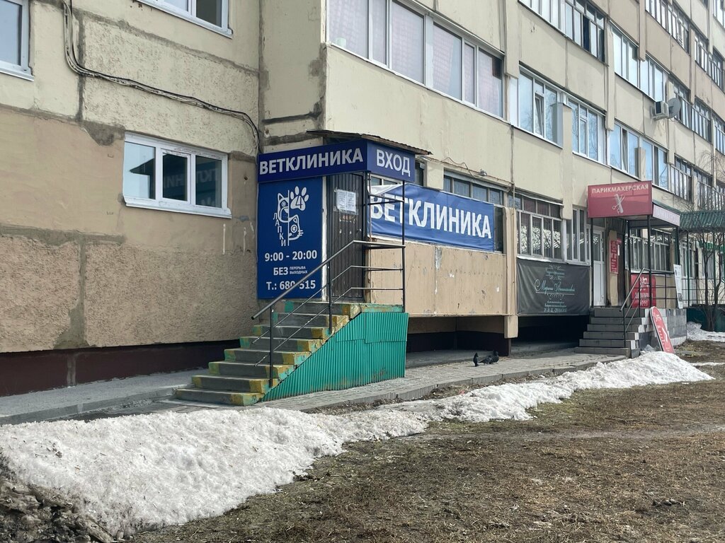 Veteriner klinikleri Four Paws, Surgut, foto