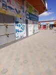 Panjatan Cycles mart Ltd (Lusaka, Lusaka, Kamwala, Bombay Road, 9237), bisiklet mağazaları  Zambiya'dan