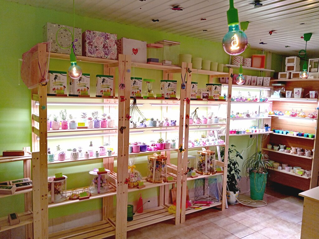 Hediyelik eşya mağazaları Живые подарки, Kaluga, foto