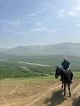 Агачаул (Republic of Daghestan, Karabudakhkentskiy District, selskoye poseleniye Agachaul), at ve binicilik kulüpleri  Dağıstan'dan