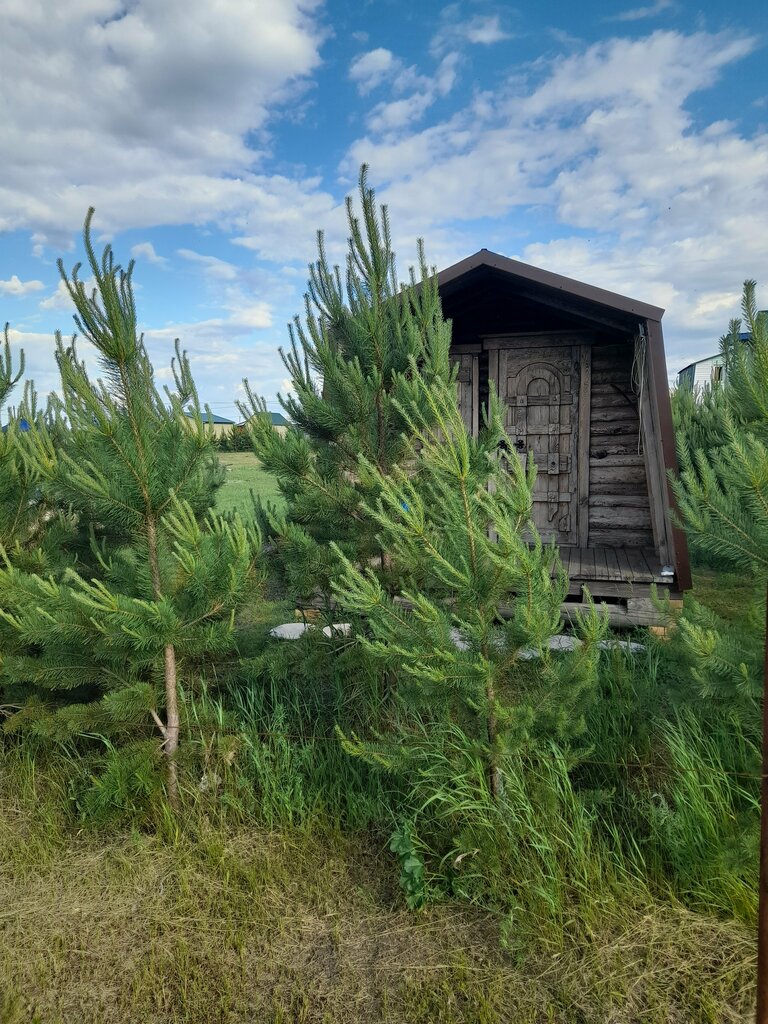 Tatil köyleri Сосны, Altayski krayı, foto