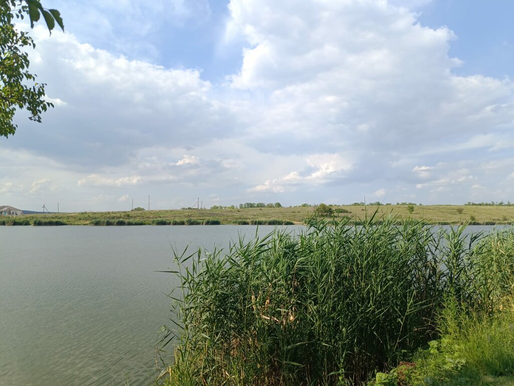 Balık ve deniz ürünleri Пруд Ефремовский, Rostovskaya oblastı, foto