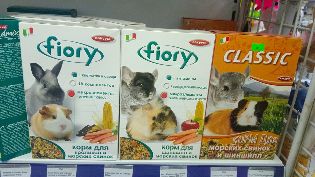 Petshop Paws and Tail, Moskova ve Moskovskaya oblastı, foto