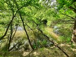 Spring, stream (Republic of Bashkortostan, Tuymazinskiy rayon, Tyumenyakovskiy selsovet), pınar, çay  Başkurdistan'dan