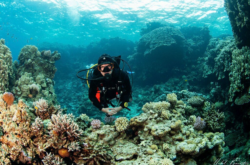 Dalış kulüpleri ve eğitim merkezleri Chocolate-tour Dive Cruise, Hurgada, foto