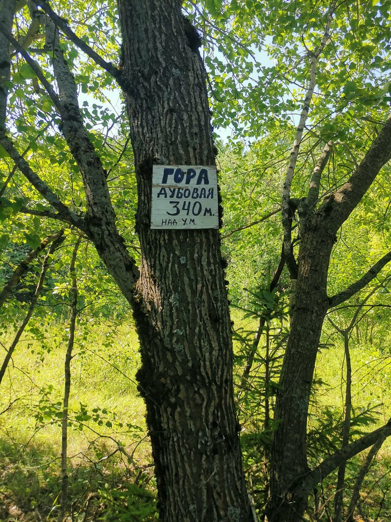 Dağ zirvesi Гора Дубовая, Minskaya oblastı, foto