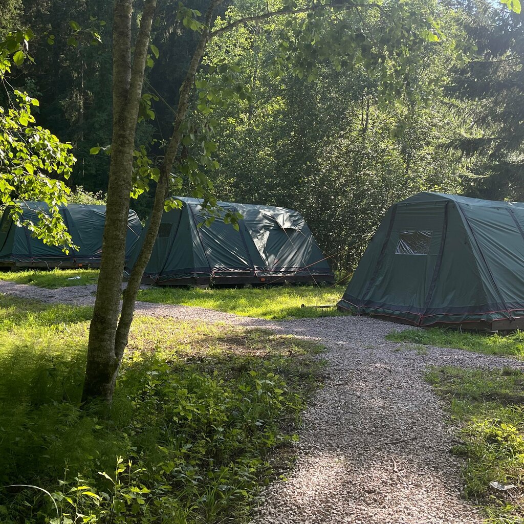 Glamping Songs-of-birds, Karelya, foto