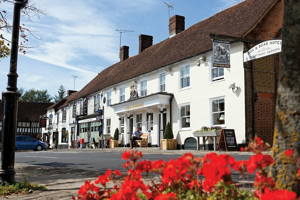 Otel Dog & Bear Hotel, Kent County, foto
