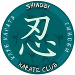Shinobi Karate Club (ulitsa Pushkina No:4), spor okulları  Lobnia'dan