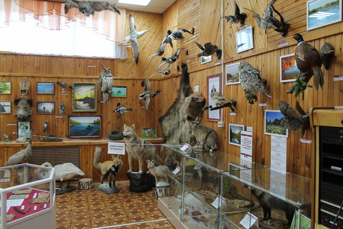 Müzeler ve sanat galerileri Krayevedchesky muzey Ubinskogo rayona, Novosibirskaya oblastı, foto