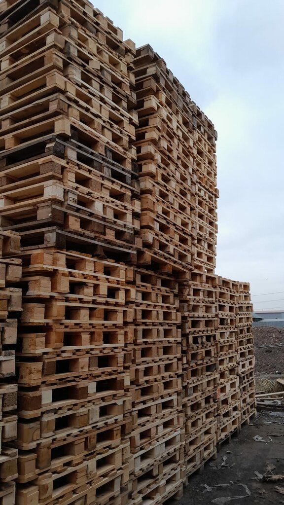 Paletler Гамма, Saint‑Petersburg ve Leningradskaya oblastı, foto