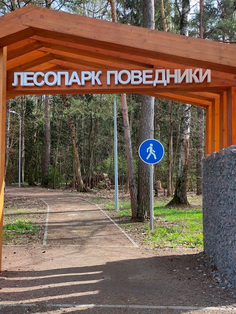 Parklar ve ormanlar Klyazminsky Forest Park, Moskova ve Moskovskaya oblastı, foto