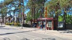 Светлогорск-2 (Kaliningrad Region, Svetlogorsk, ulitsa Lenina), toplu taşıma durağı  Svetlogorsk'tan