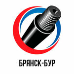 Bryansk-Bur (Rabochiy pereulok No:10), sondaj çalışmaları  Briansk'tan