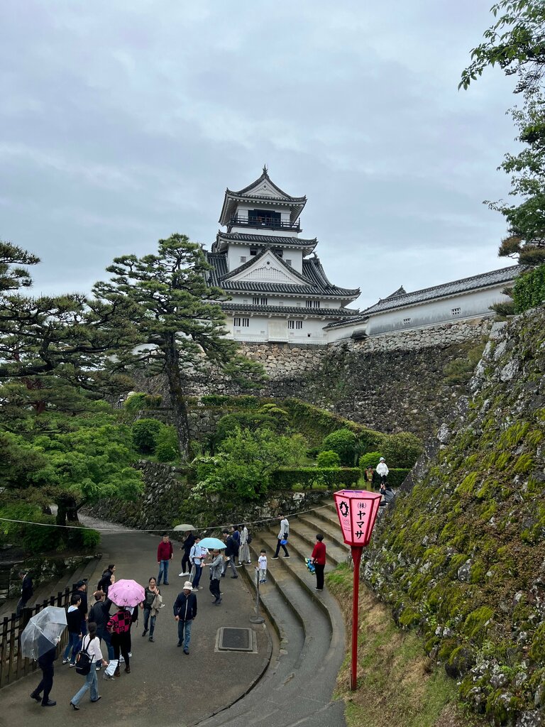 Turistik yerler Kochi Castle, Koçi, foto