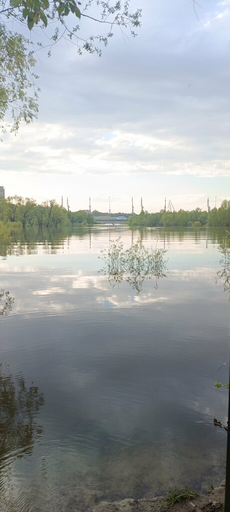 Kiralama noktası Авангард, Omsk, foto