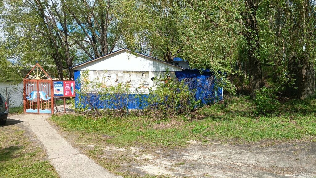 Hobi kulüpleri Ульяновский клуб моржей, Ulyanovsk, foto