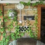 Молния (Sovkhoznaya ulitsa No:9/3, Village of Nebug), çiftlik tatili  Krasnodarski krayından